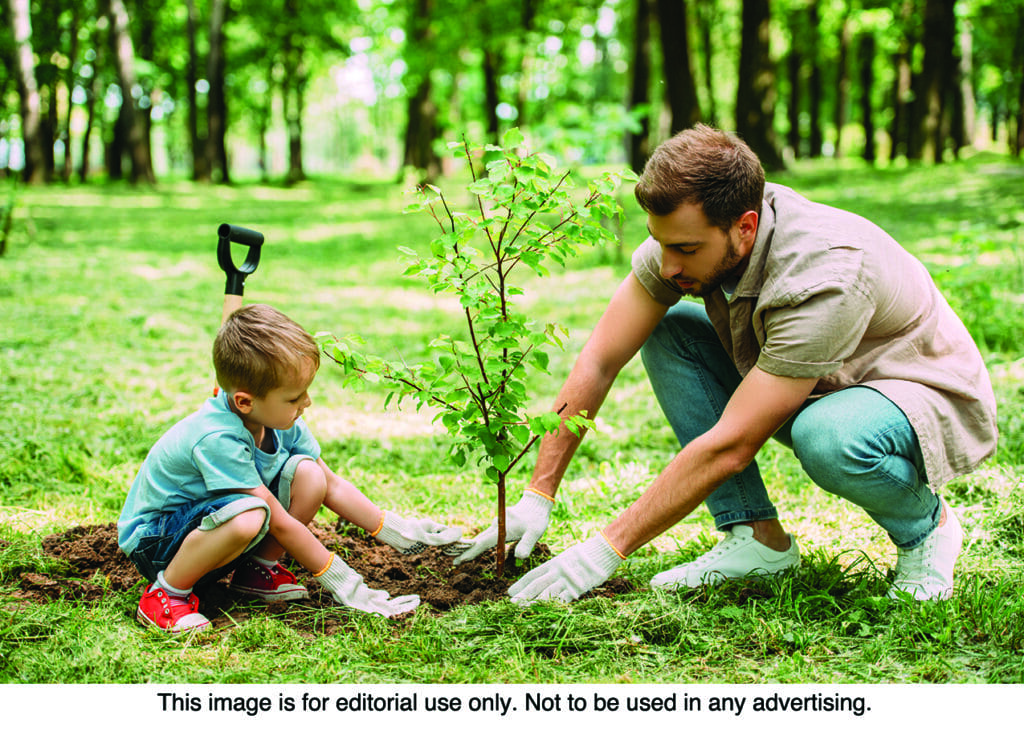 Fun Ways To Celebrate The Arrival Of Spring - Long Island Media Group