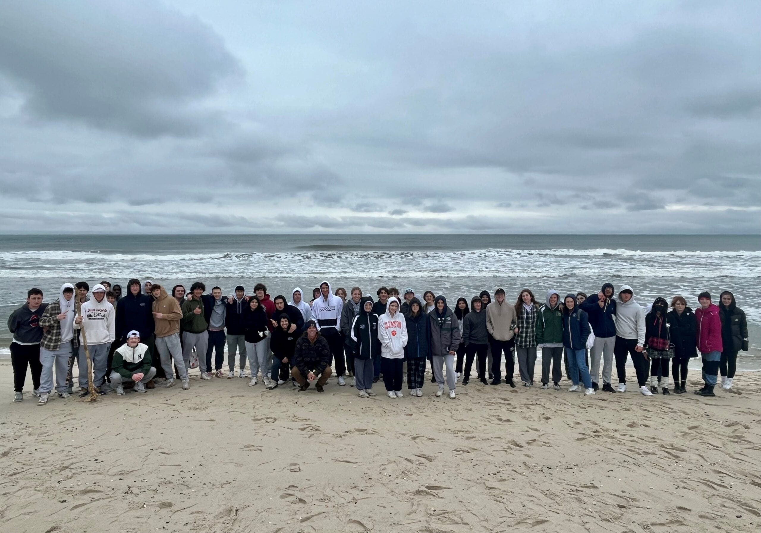 Harborfields Marine Science Students Observe Seals At Cupsogue - Long ...