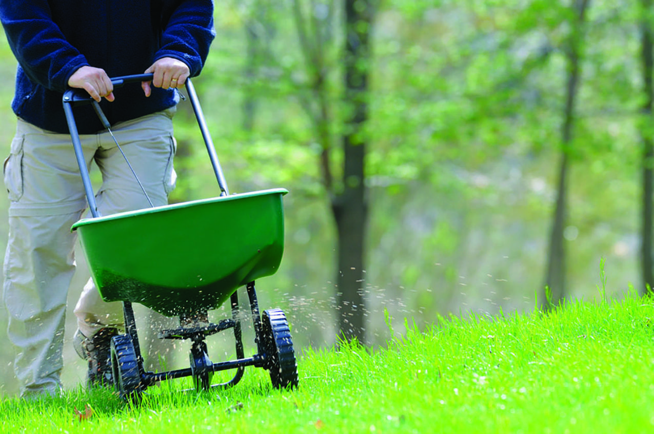 The Basics Of Fertilizing A Lawn - Long Island Media Group